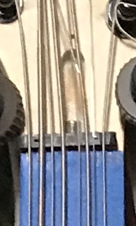 8-String Bass Conversion – twocargar.com